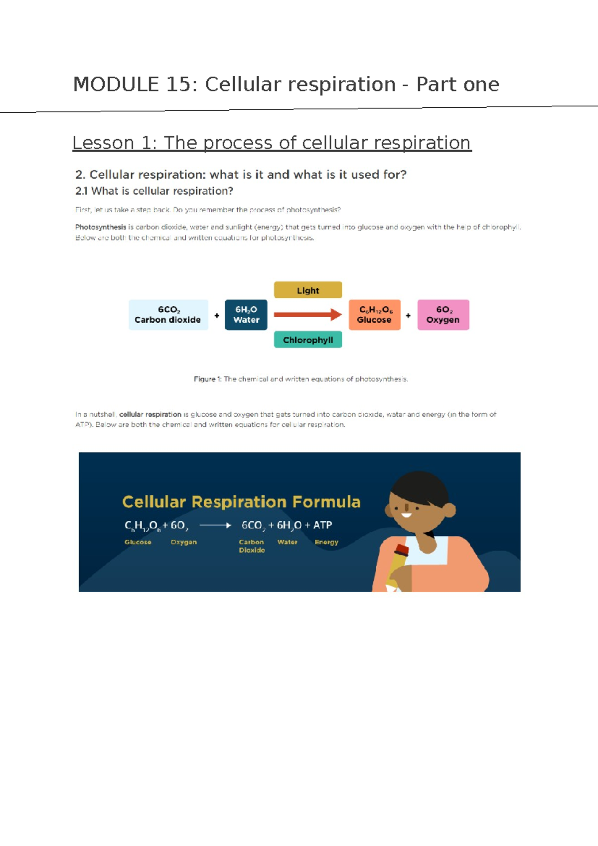 Module 15- Cellular Respiration Pt 1 - MODULE 15: Cellular respiration ...