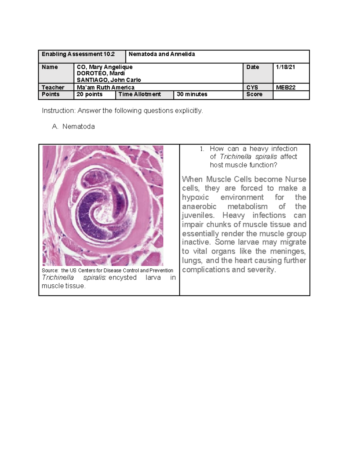 Nematoda - Annelida Enabling Assessment - Instruction: Answer the ...