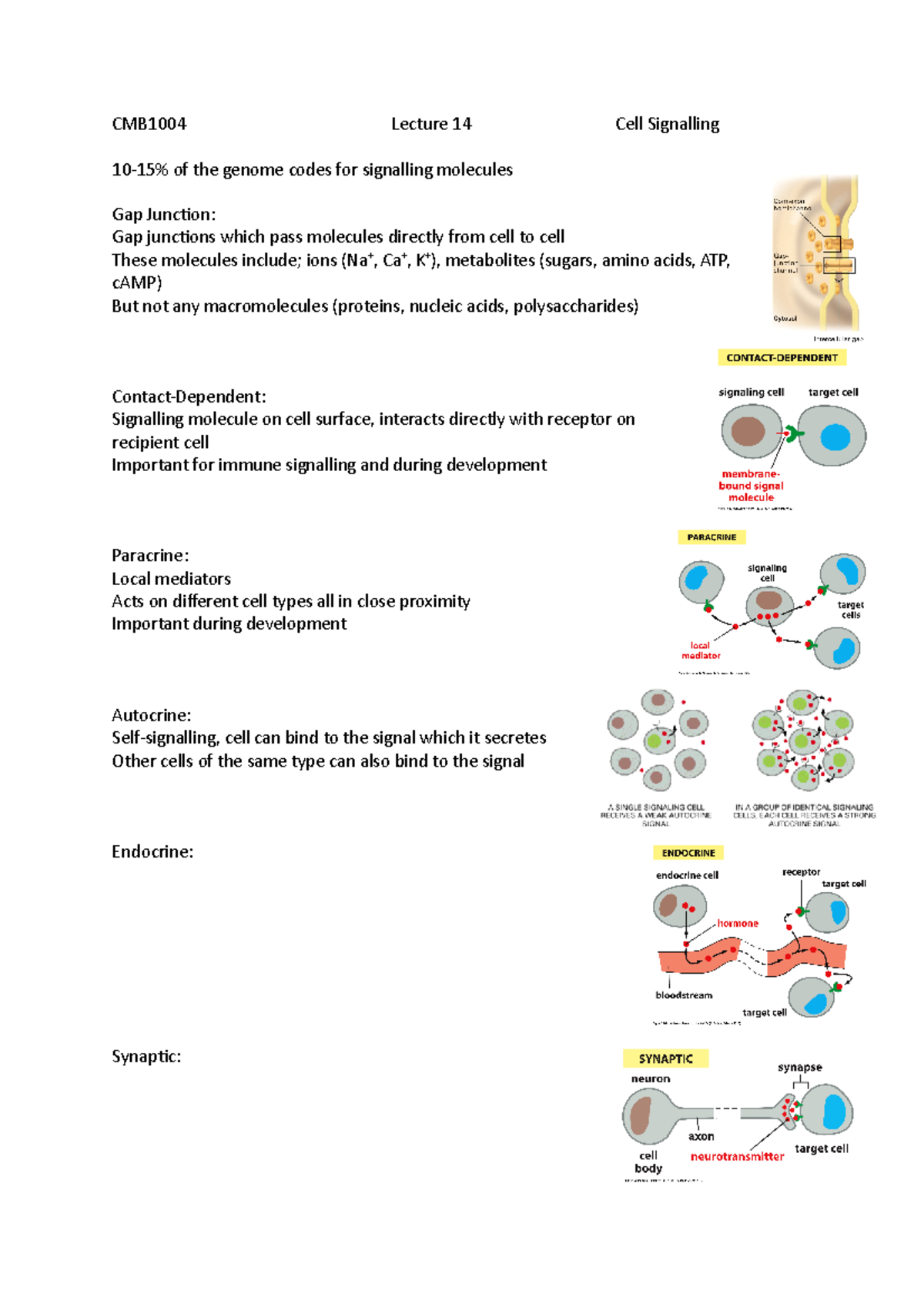 14 - Cell Signalling - Cell biology year 1 - CMB1004 Lecture 14 Cell ...