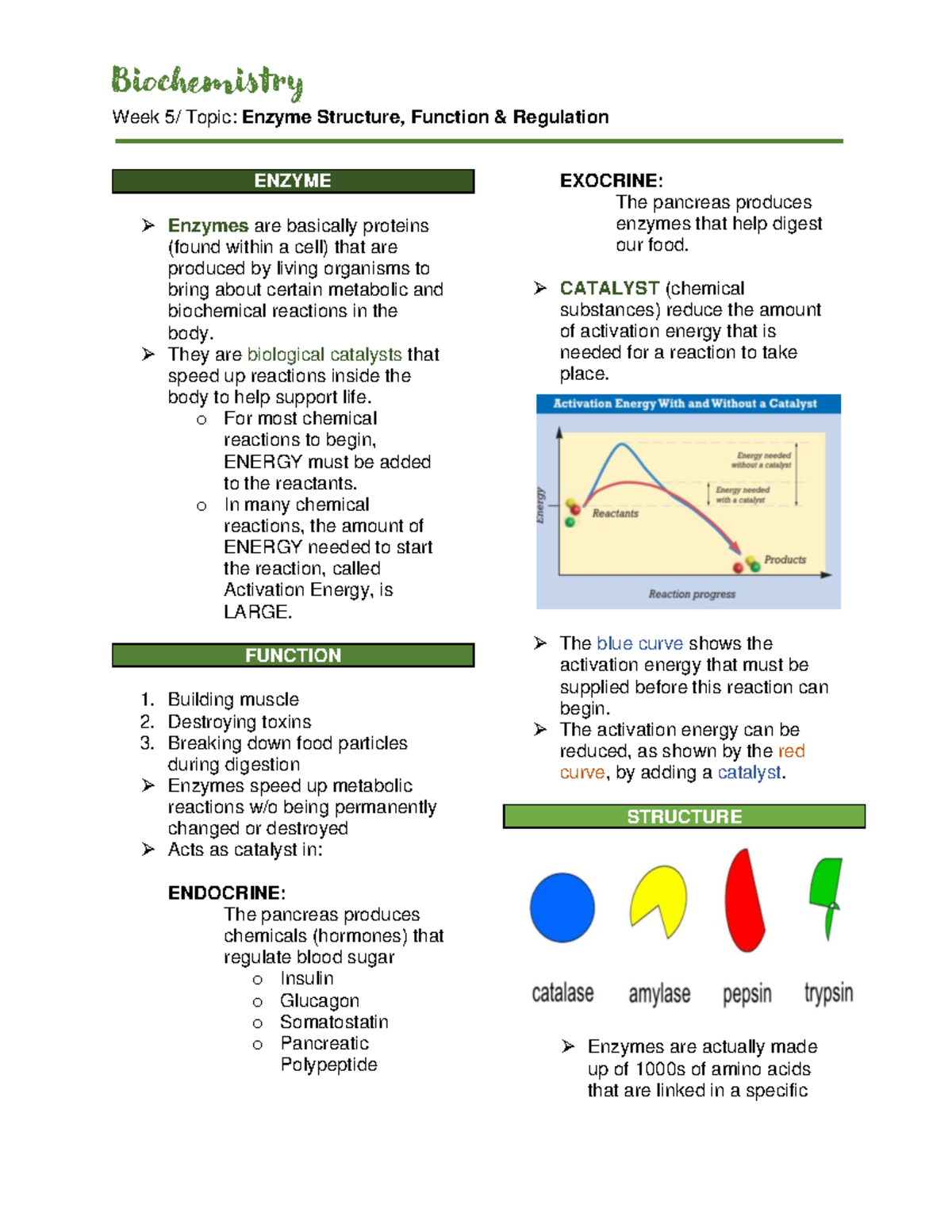 Enzymes transes - Week 5/ Topic: Enzyme Structure, Function ...