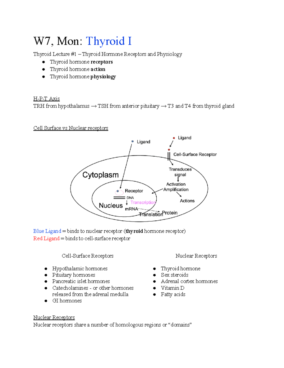 Thyroid I Lecture Notes - W7, Mon: Thyroid I Thyroid Lecture #1 ...