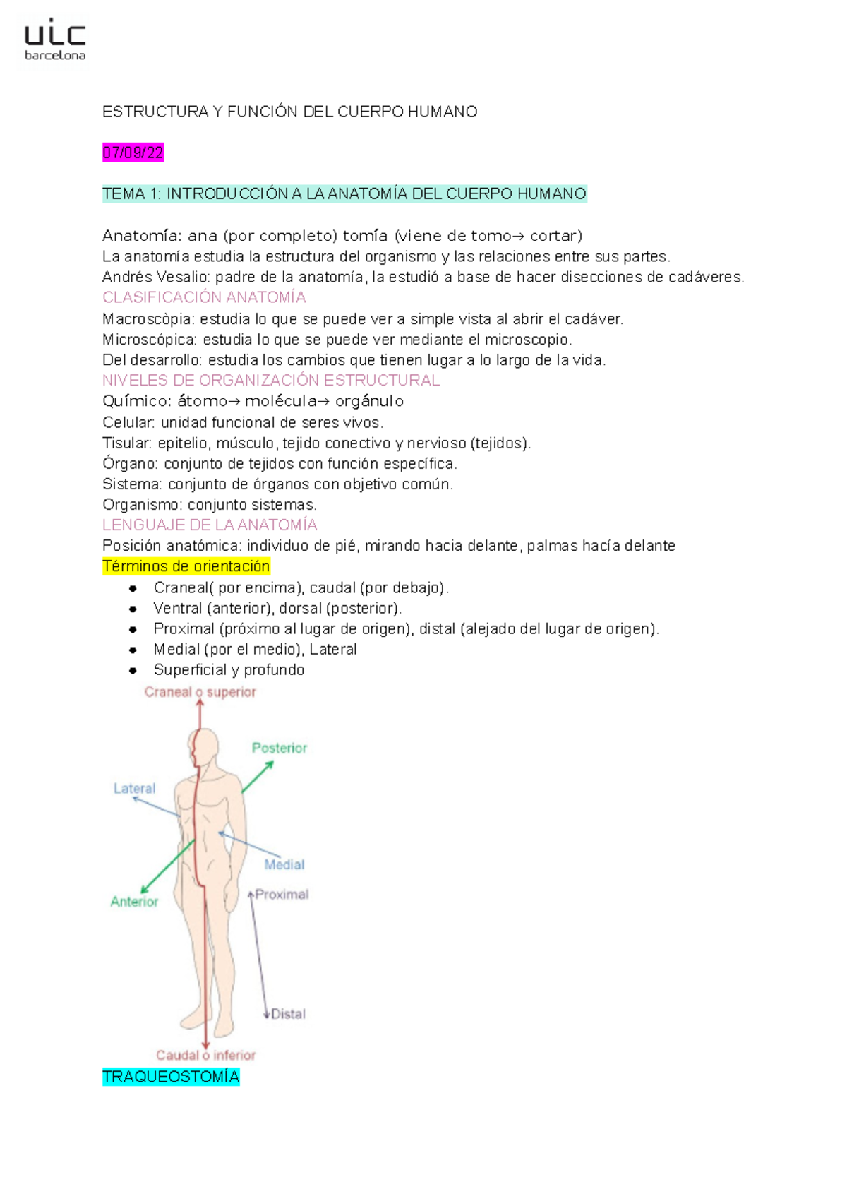 Estructura Y FuncióN DEL Cuerpo Humano - ESTRUCTURA Y FUNCIÓN DEL CUERPO HUMANO 07/09/ TEMA 1 ...