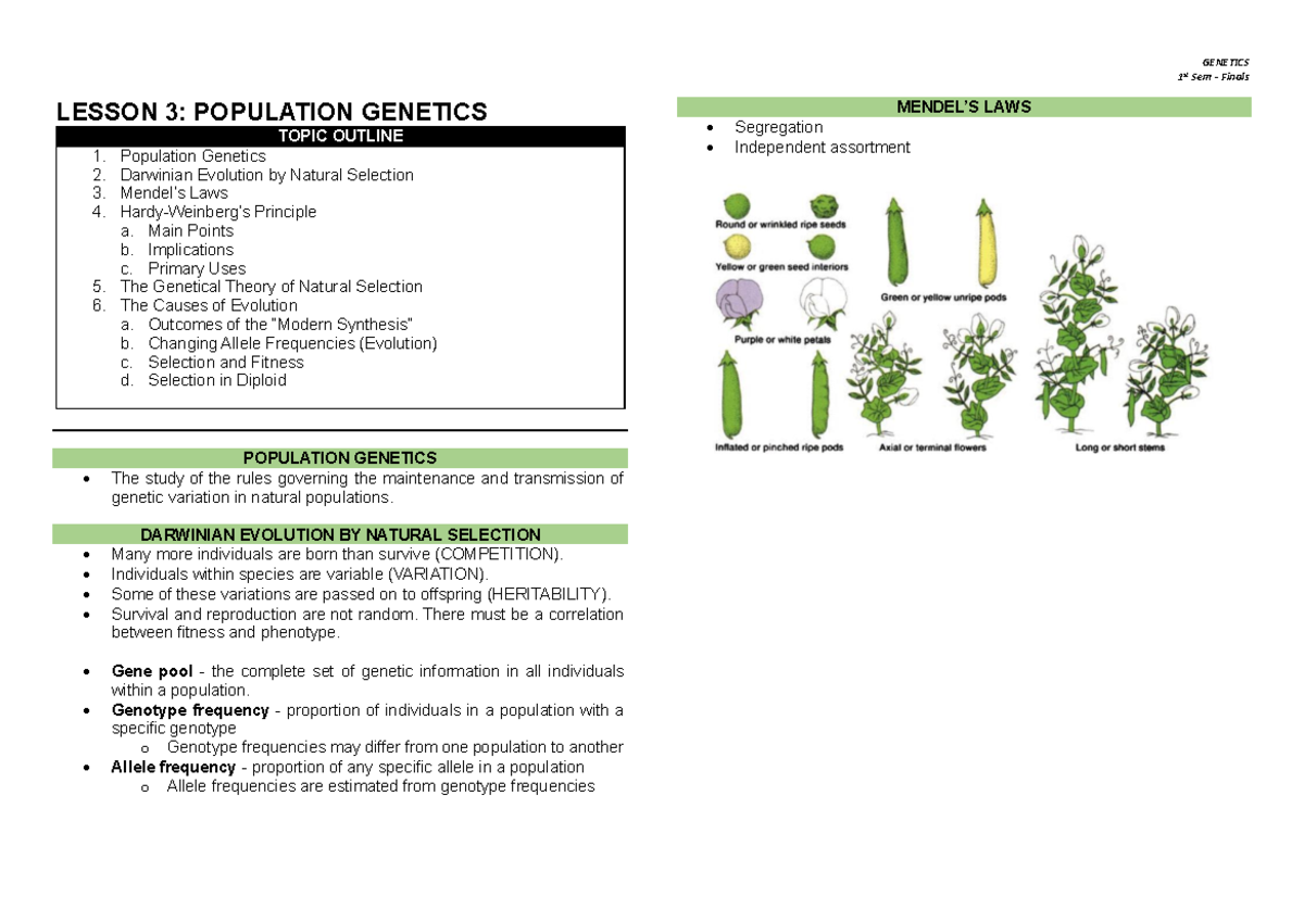 Lesson 3 Population Genetics - 1 st Sem - Finals LESSON 3: POPULATION ...