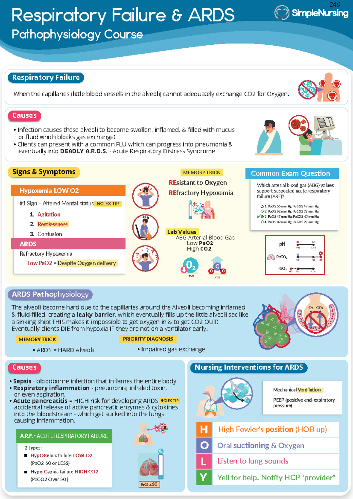 ARDS 2 - Arcs a diseas of - Respiratory Failure & ARDS Pathophysiology ...
