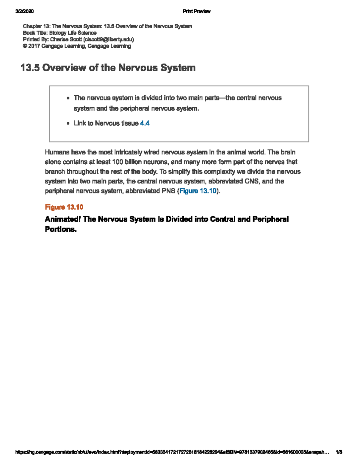 Chapter 13 The Nervous System - BIOL 400 - Studocu