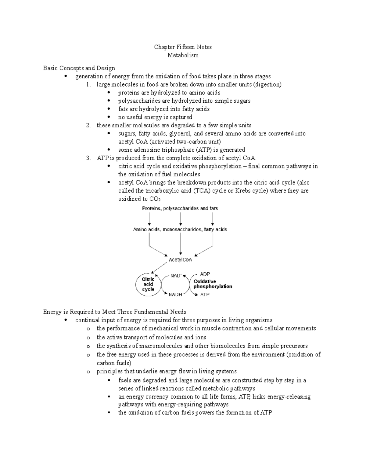 Ch Fifteen (TBS) Notes - Metabolism - Chapter Fifteen Notes Metabolism ...