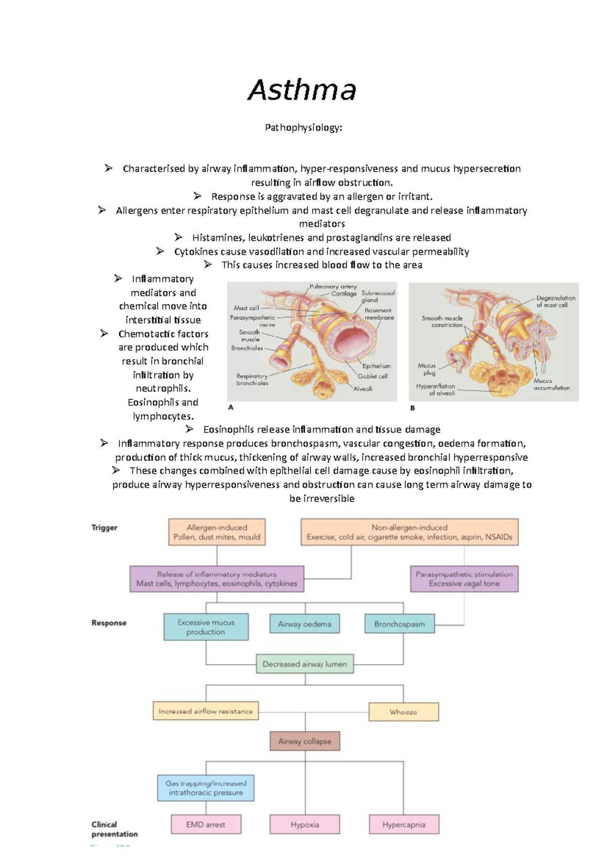 Asthma - Asthma Pathophysiology: Characterised by airway inflammation ...