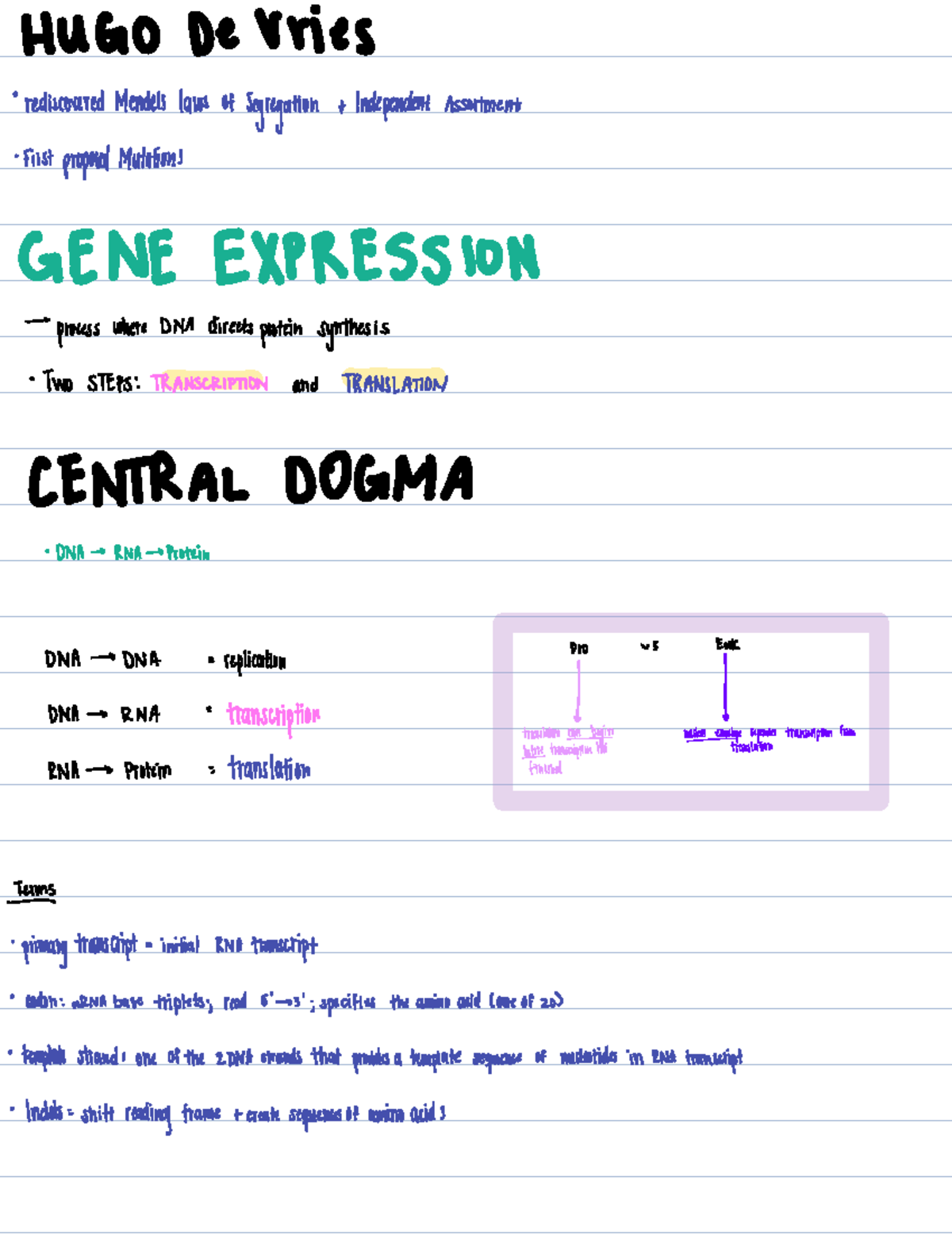 DNA transcription and translation notes - HUGO DeVries rediscovered ...