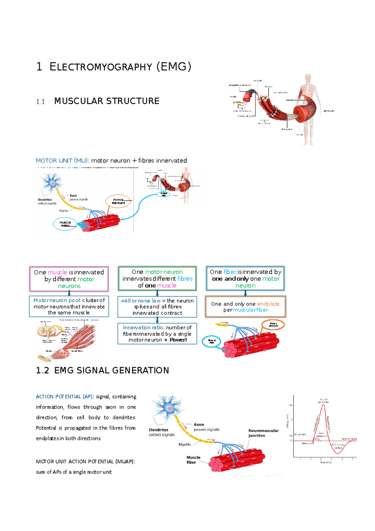 EMG Signal Generation- Esercitazione 1 Technologies - 1 ...