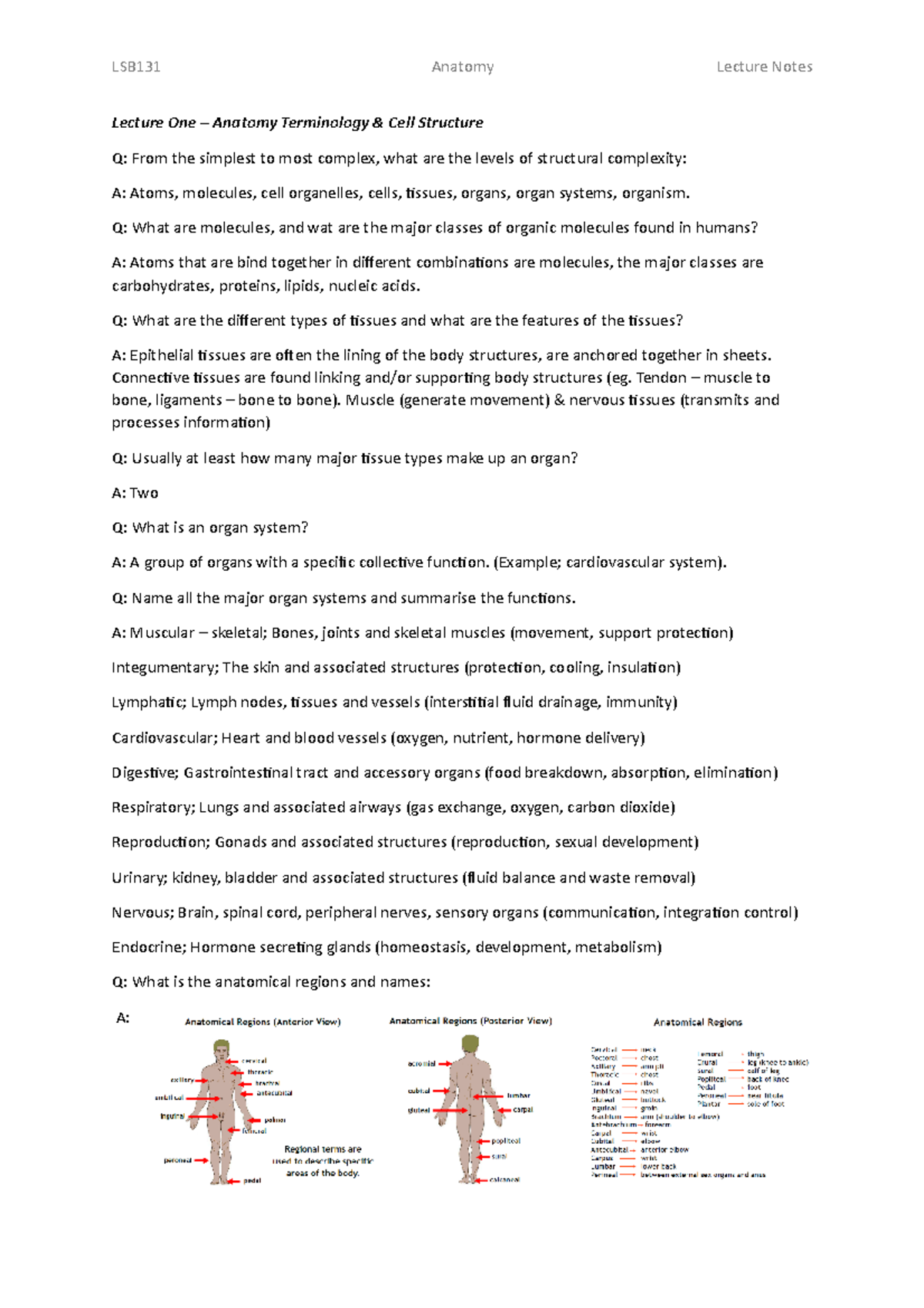 Anatomy notes - QUT - LSB131 Anatomy Lecture Notes Lecture One Anatomy ...