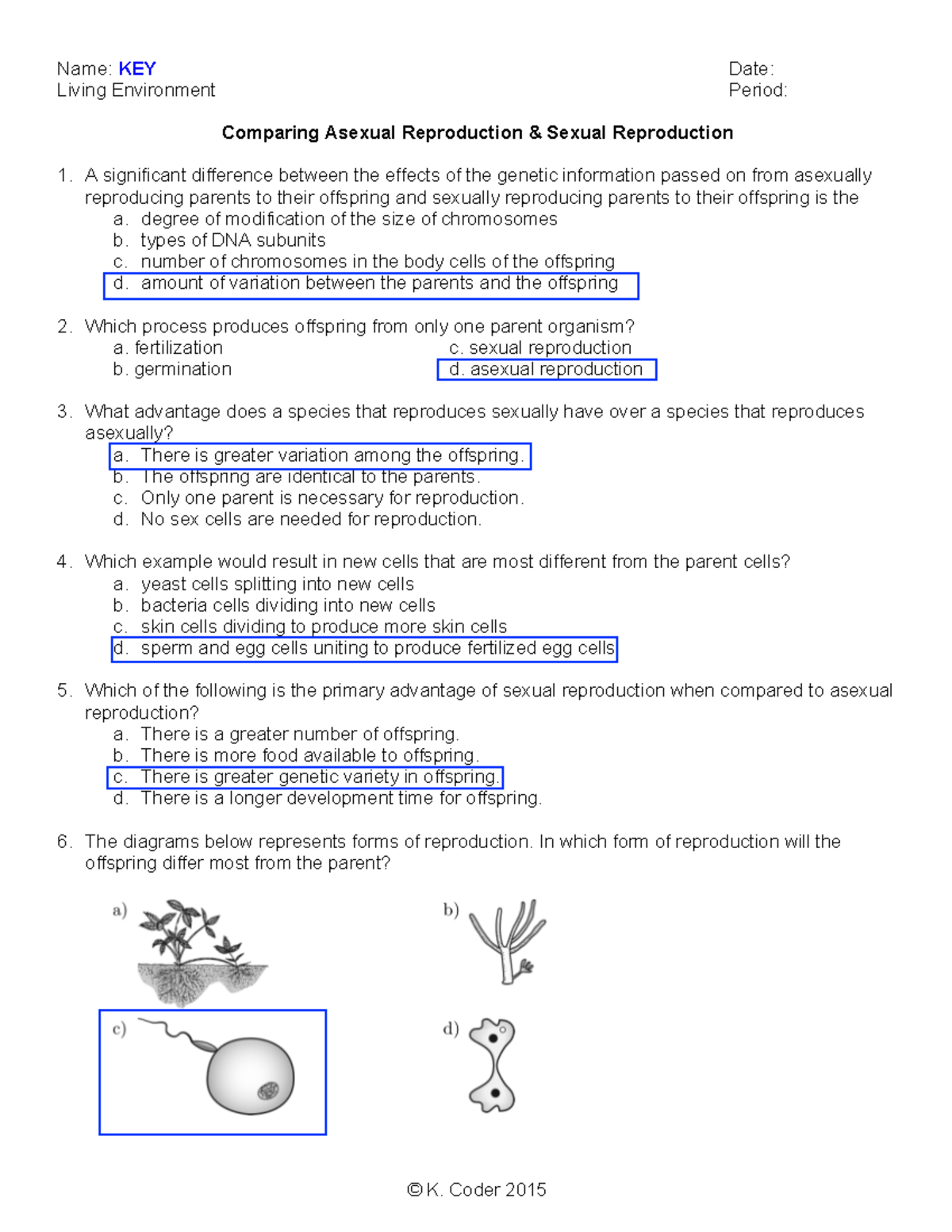 WS Comparing Asexual and Sexual Reproduction KEY - Name: KEY Date ...