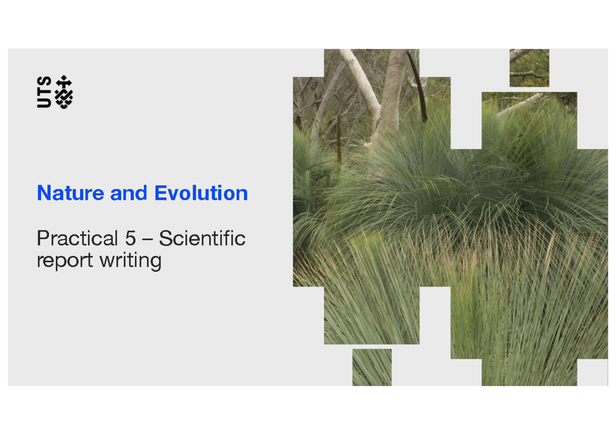 Prac 5 Slides TAs - SPR24 - Nature and Evolution Practical 5 – Scientific report writing What’s ...