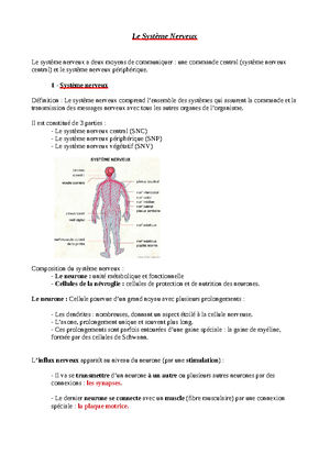 LES Elements Figures DU SANG ET L' Hematopoiese - Eléments figurés du ...