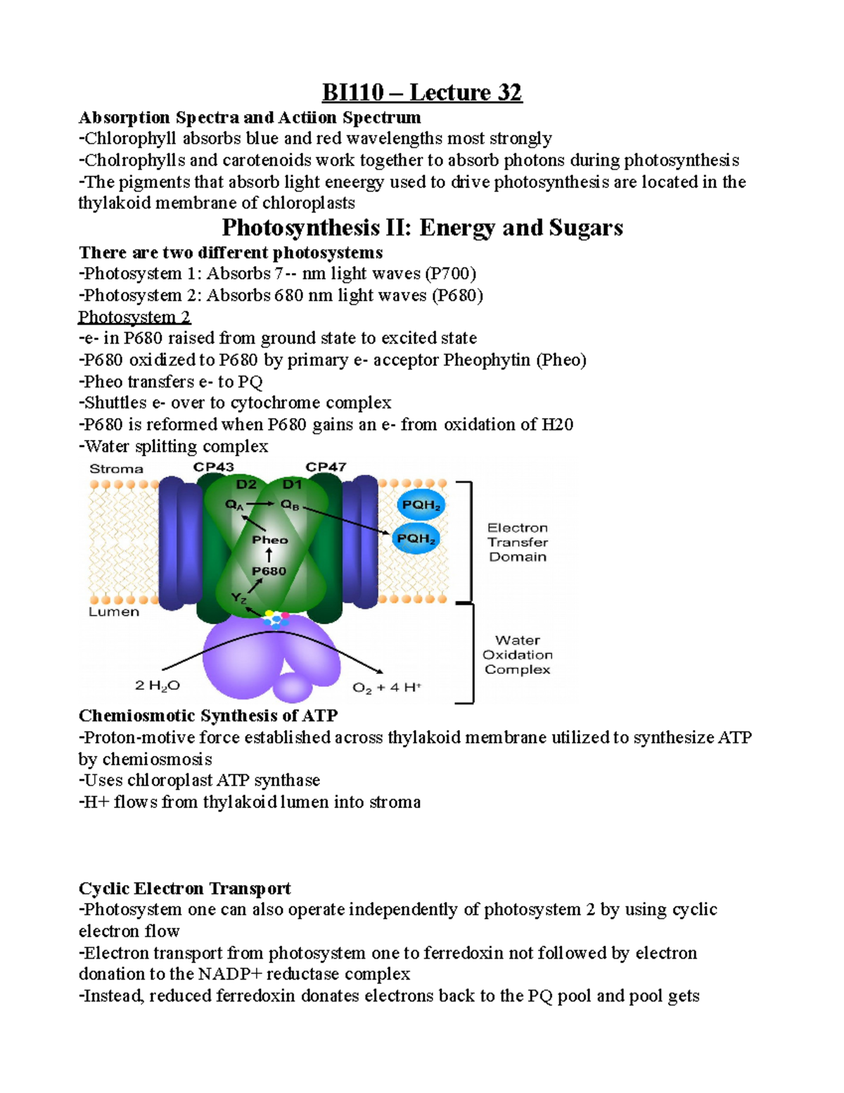 Lecture 32 - Dr. Matt Smith - BI110 – Lecture 32 Absorption Spectra and ...