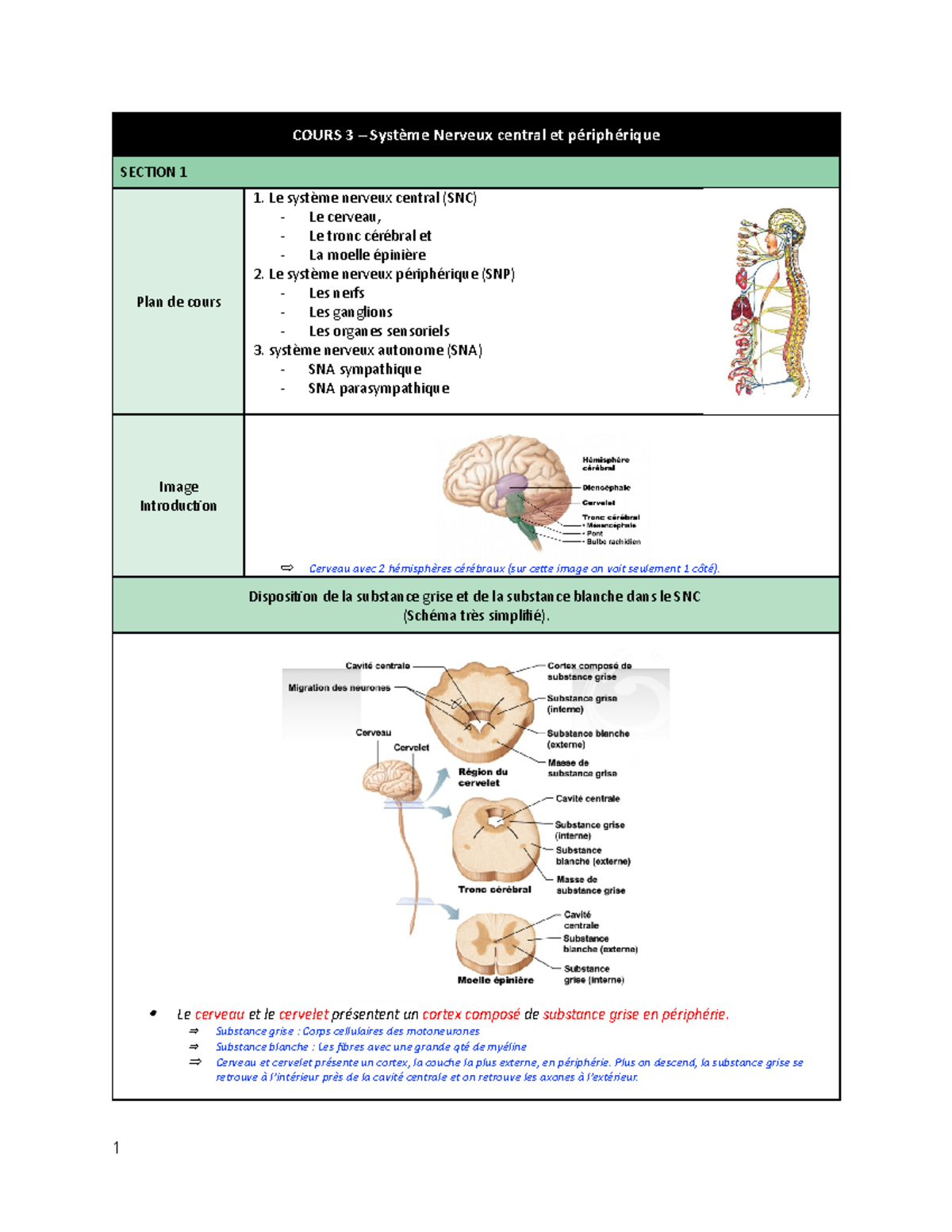 Cours 3 capsule 1 à 3 - COURS 3 – Système Nerveux central et ...