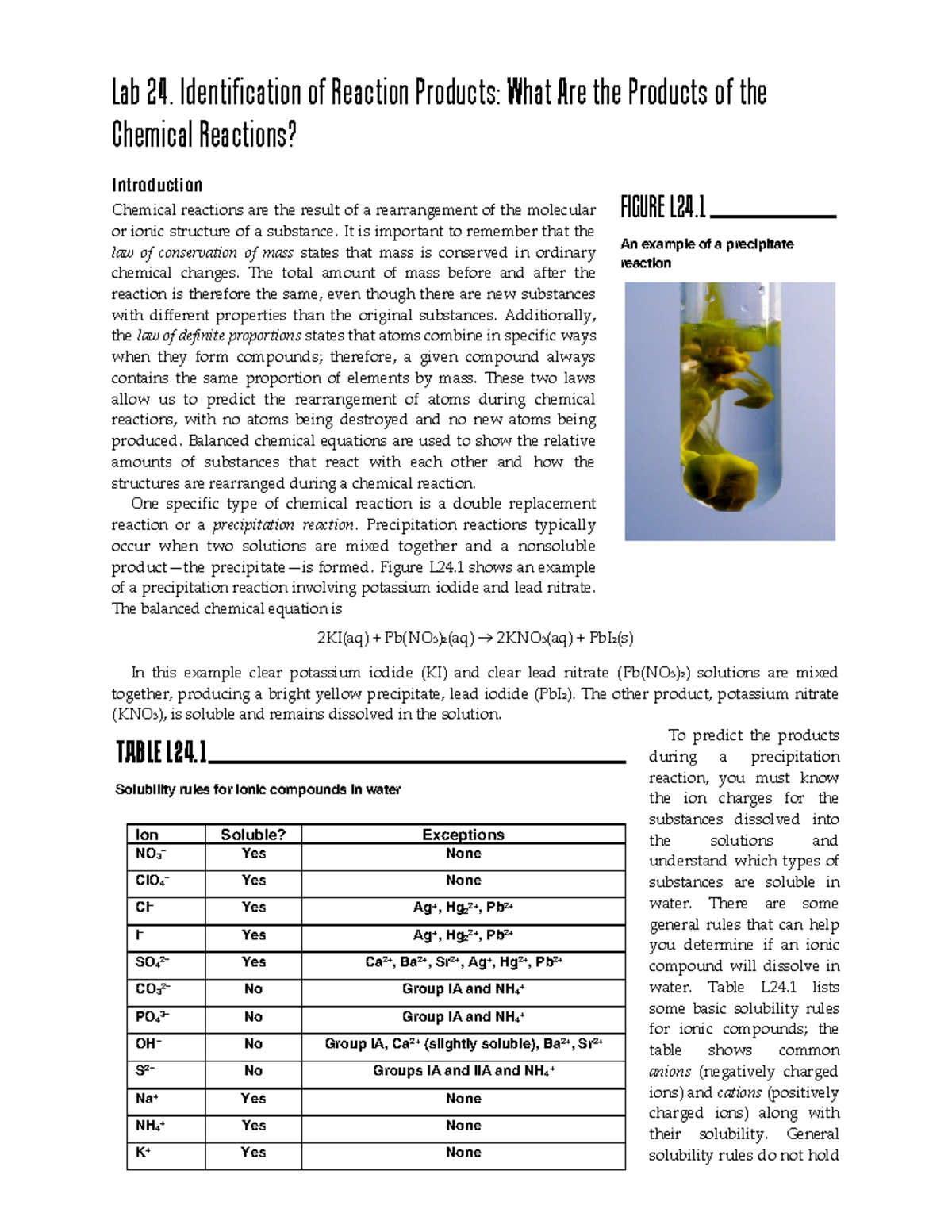 Lab24Student Handout-Identification Of Reaction Products - Lab 24 ...