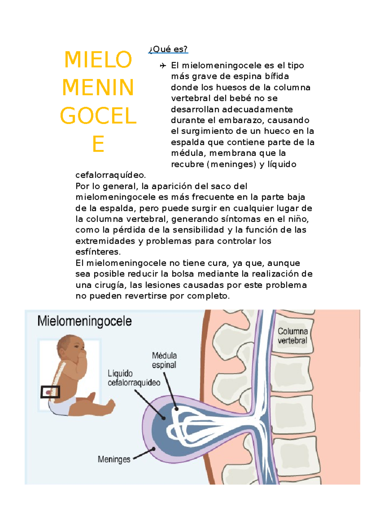 Trastorno Del Mielomeningocele Qué Es El Mielomeningocele Es El