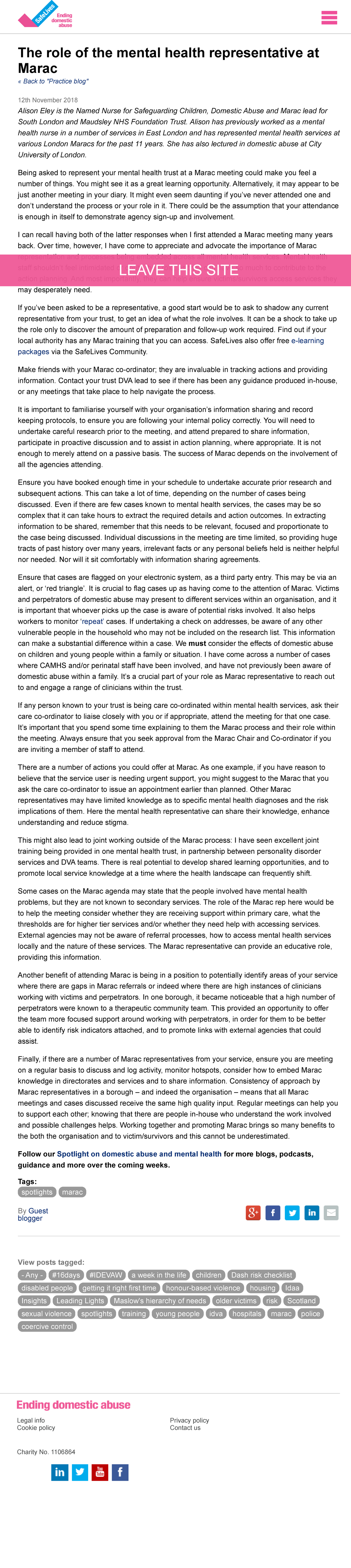 The role of the mental health representative at Marac Safelives ...