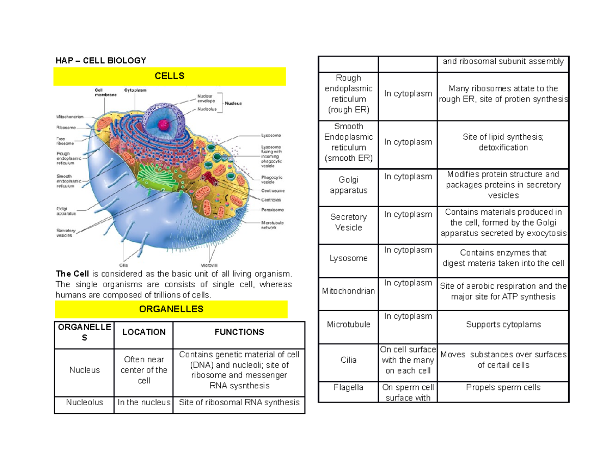 HAP- Cells - HAP – CELL BIOLOGY The Cell is considered as the basic unit of all living organism ...