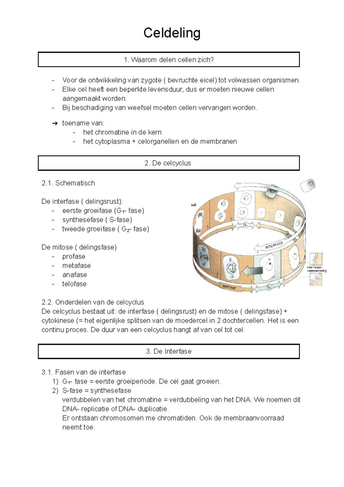 Celdeling - Celdeling Waarom delen cellen zich? Voor de ontwikkeling ...