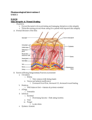 Burns Overview Worksheet - Allen College NU470: Adult Nursing II Burns ...