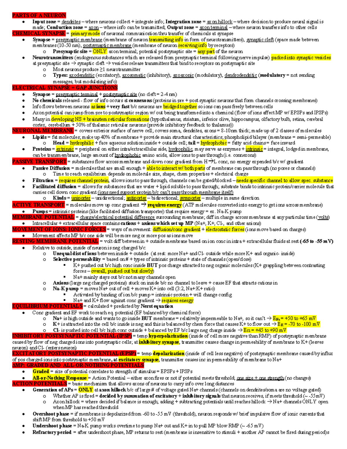 FBBC Notes Sheet Exam 2 - PARTS OF A NEURON Input zone = dendrites ...