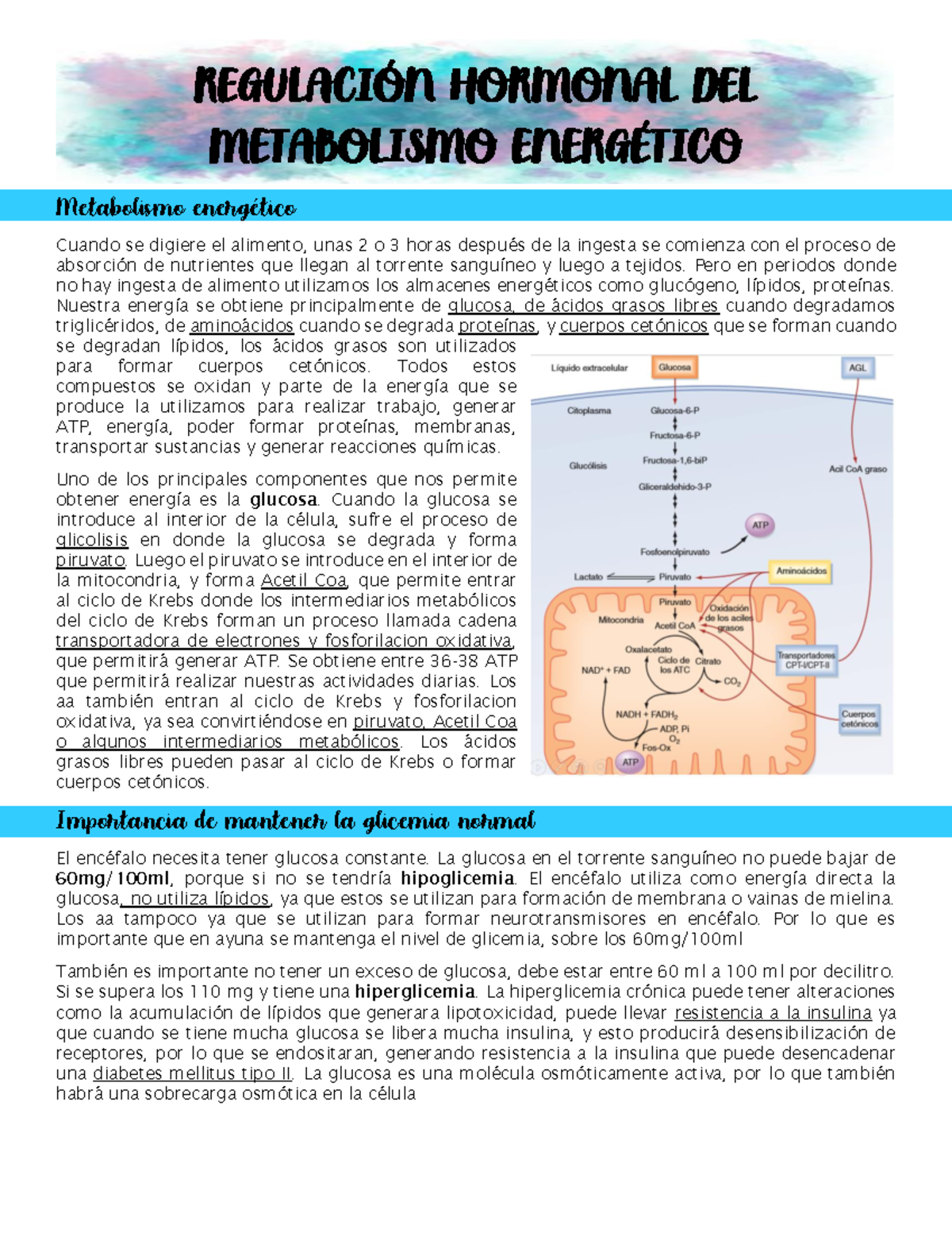 Metabolismo f1 - , !/&Ŷ #Û( HORMONAL DEL ' .Ŷ )&-') ( ,!μ.# ) ' Ĝ ...