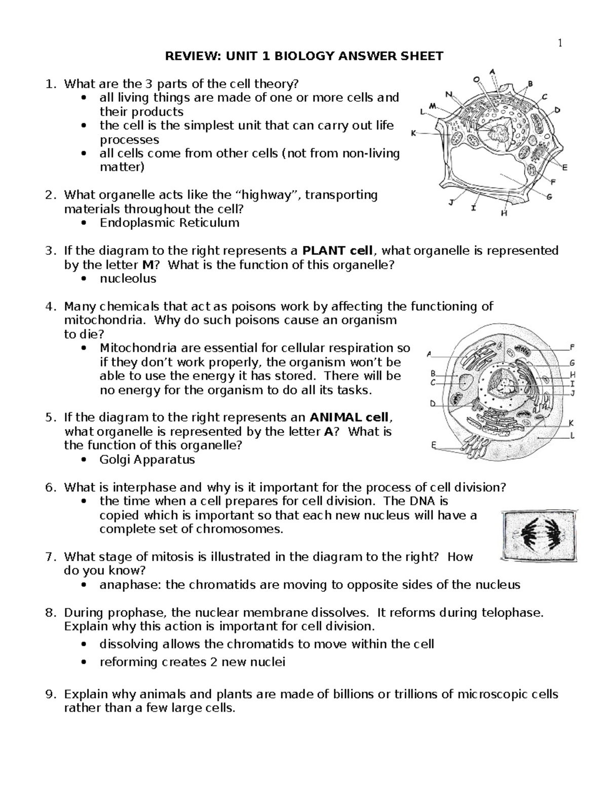 Biology Unit Review Answers - REVIEW: UNIT 1 BIOLOGY ANSWER SHEET What ...
