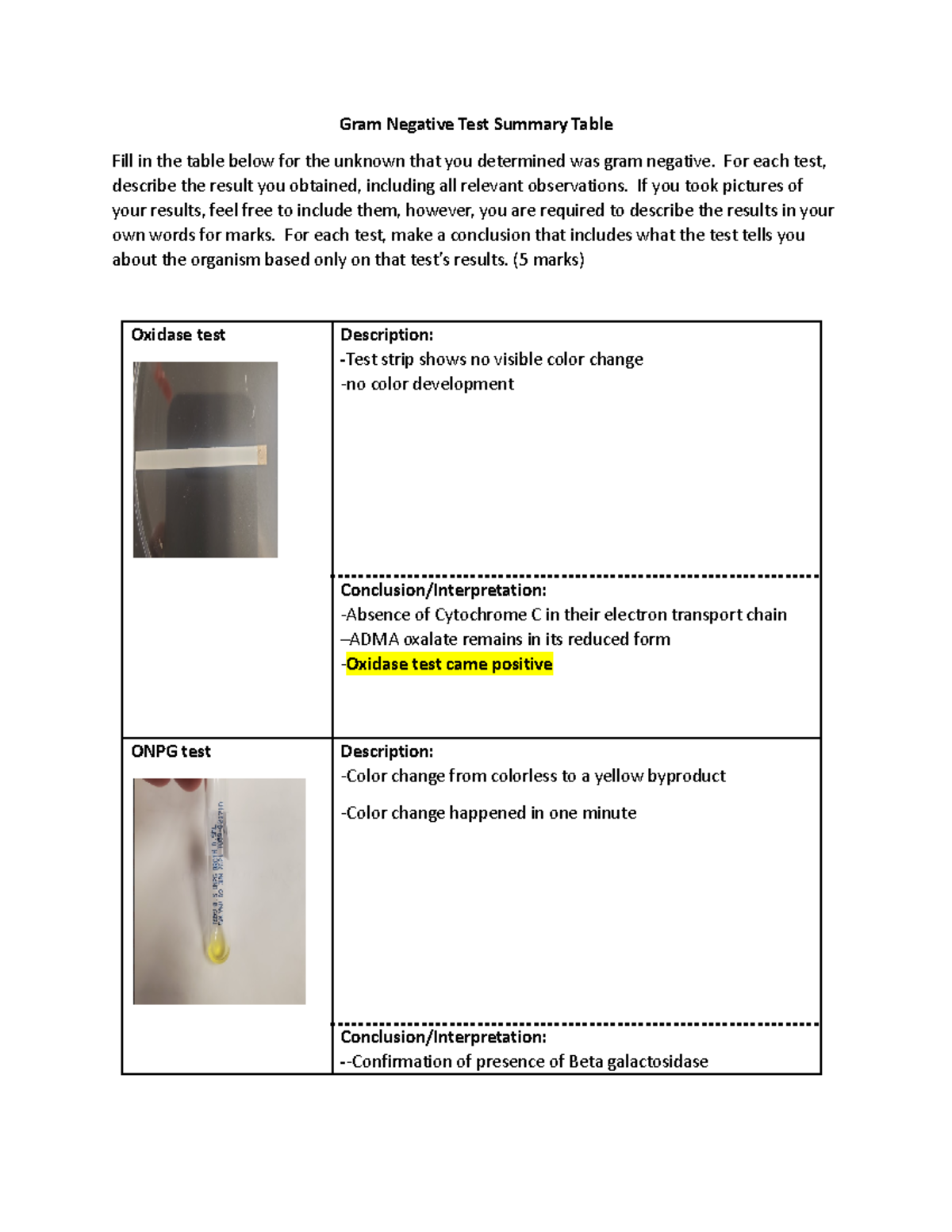 Gram negative test - Gram Negative Test Summary Table Fill in the table ...