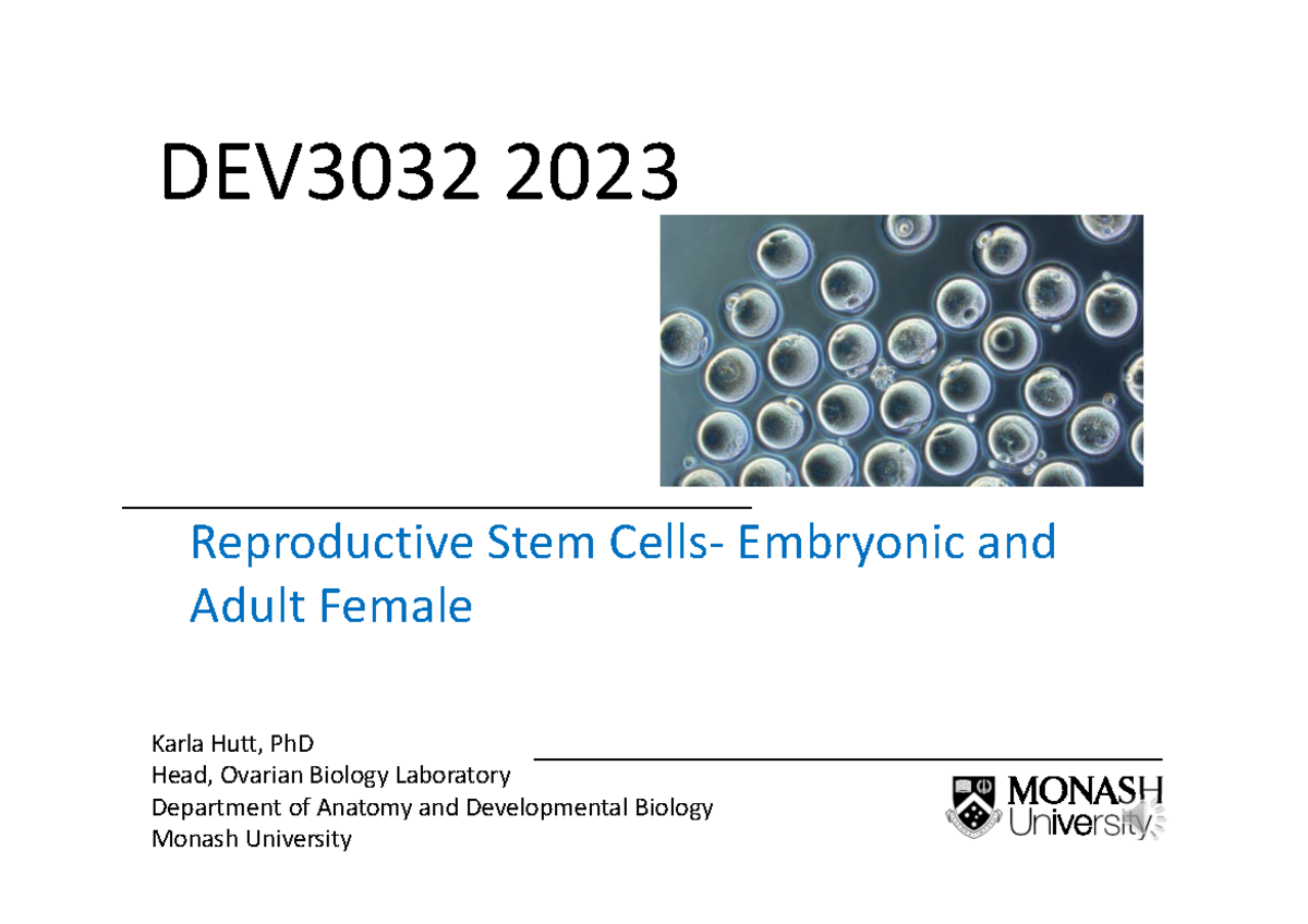 DEV3032 2023 Lecture 7 Female reproductive development (K Hutt ...