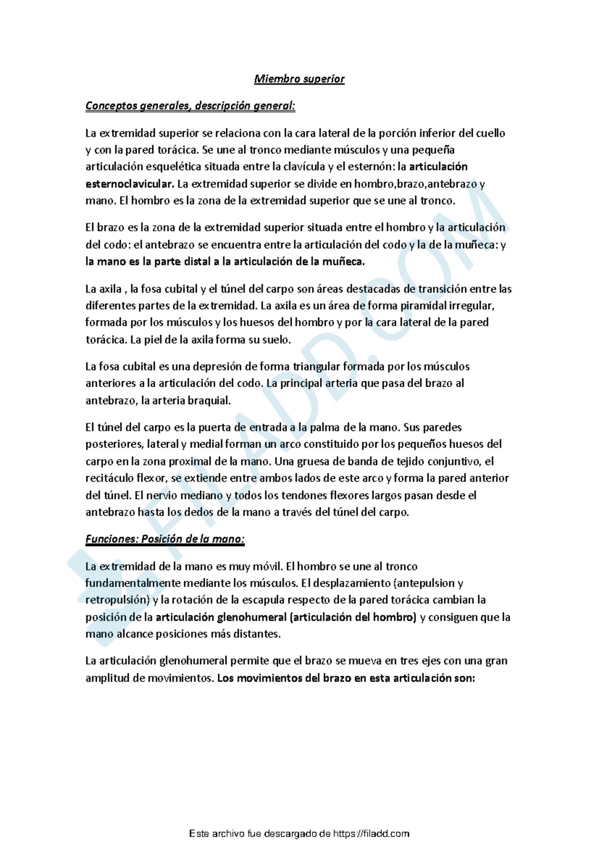 Miembro superior - anatomia - Miembro superior Conceptos generales ...