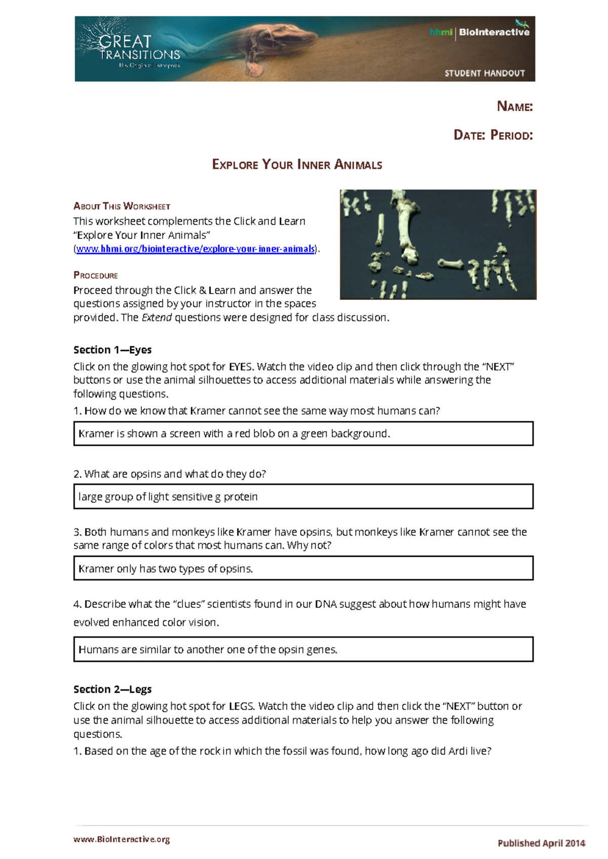 Copy of Copy of Student Document - NAME: DATE: PERIOD: EXPLORE YOUR ...