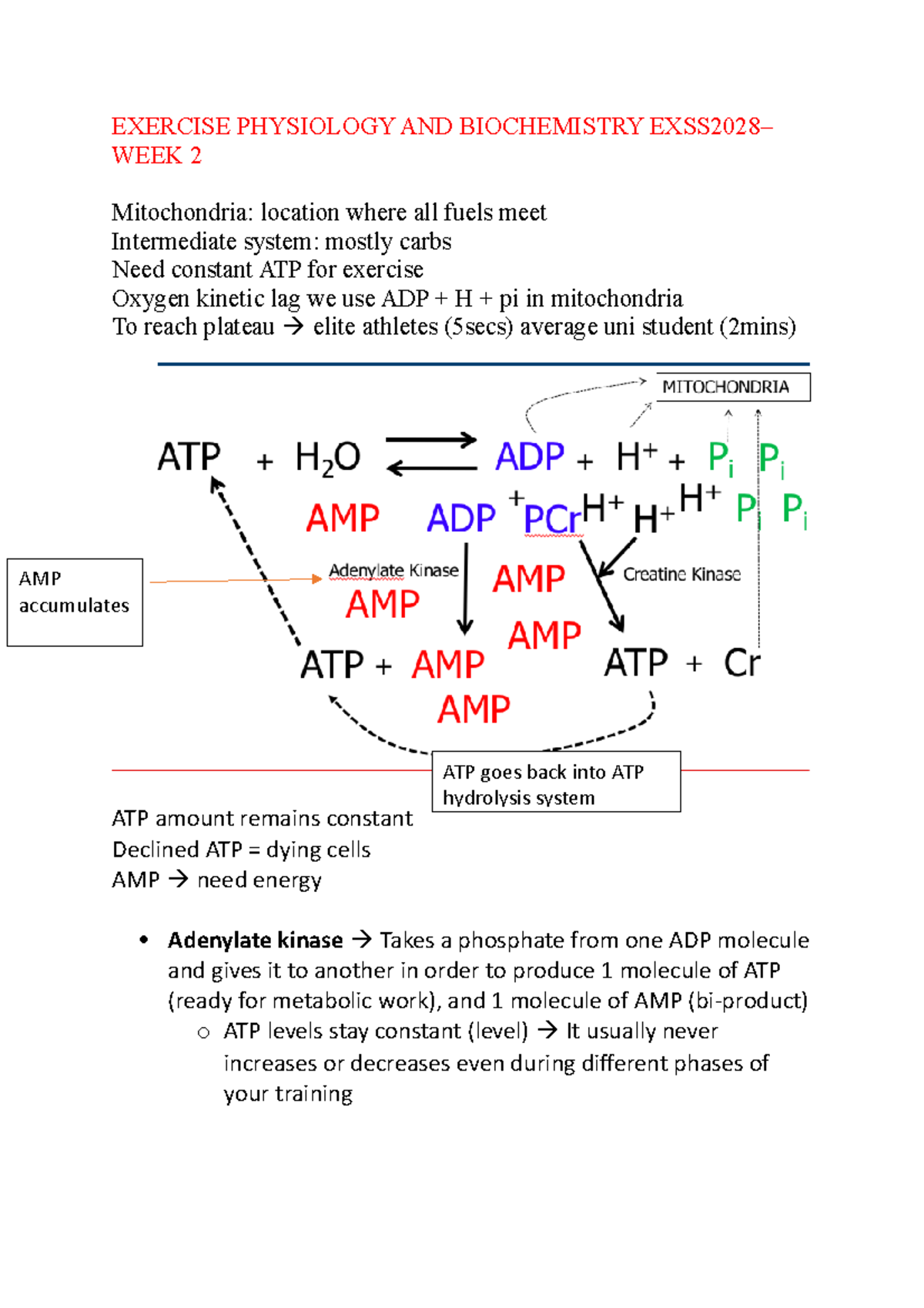 WEEK 2 exss2028 biomechanics - EXERCISE PHYSIOLOGY AND BIOCHEMISTRY ...