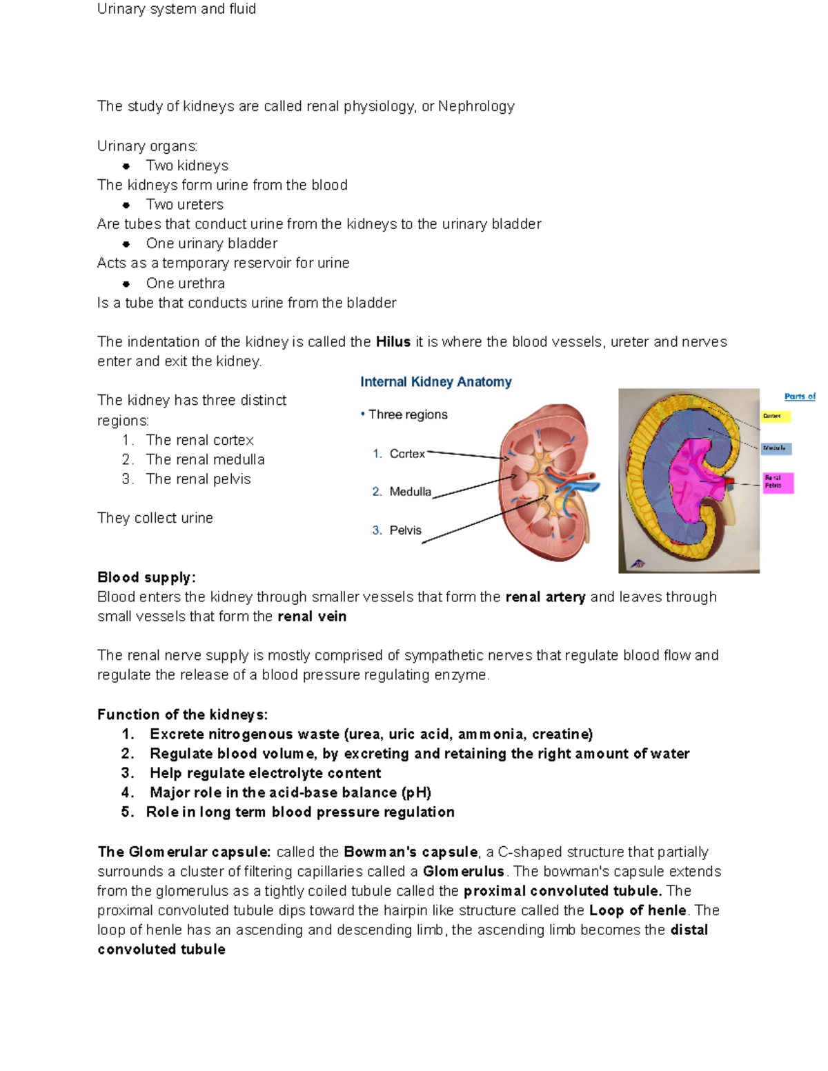 Human physiology-week 12 - Urinary system and fluid The study of ...