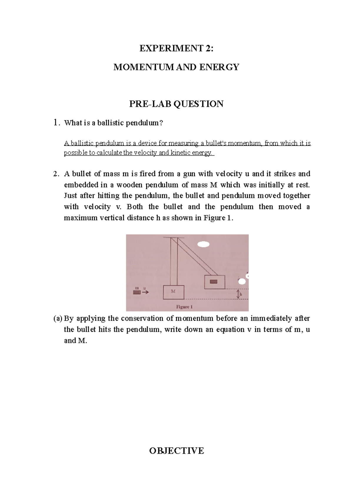 LAB 2 PHY400 MOMENTUM AND ENERGY - EXPERIMENT 2: MOMENTUM AND ENERGY ...