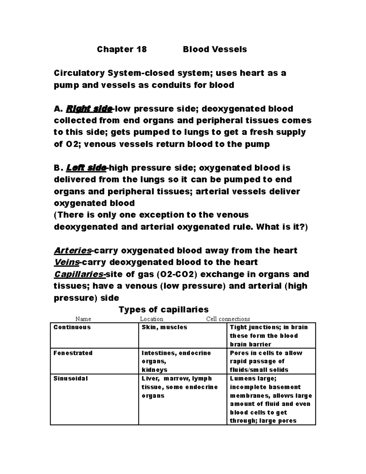 Chapter 18 Blood Vessels - Chapter 18 Blood Vessels Circulatory System ...