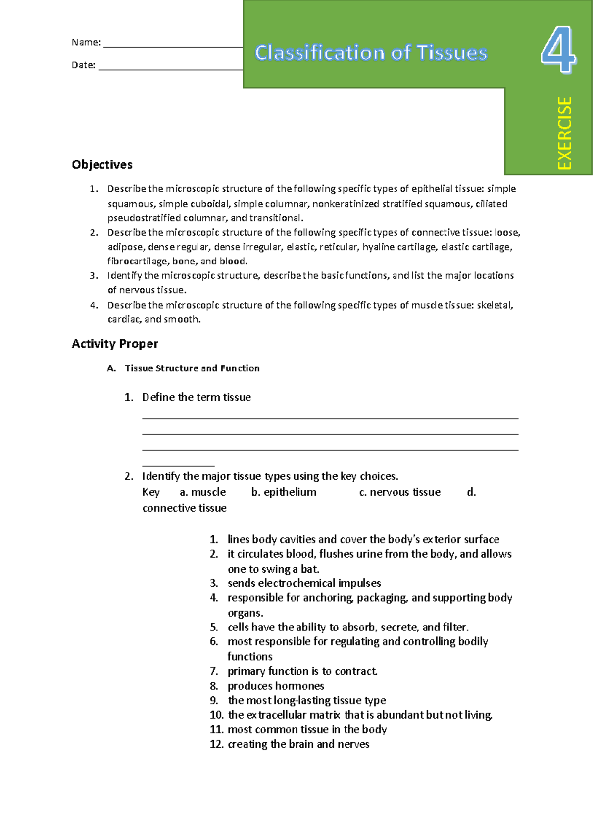 4 Classification of Tissues - Name: ____________________________ Date