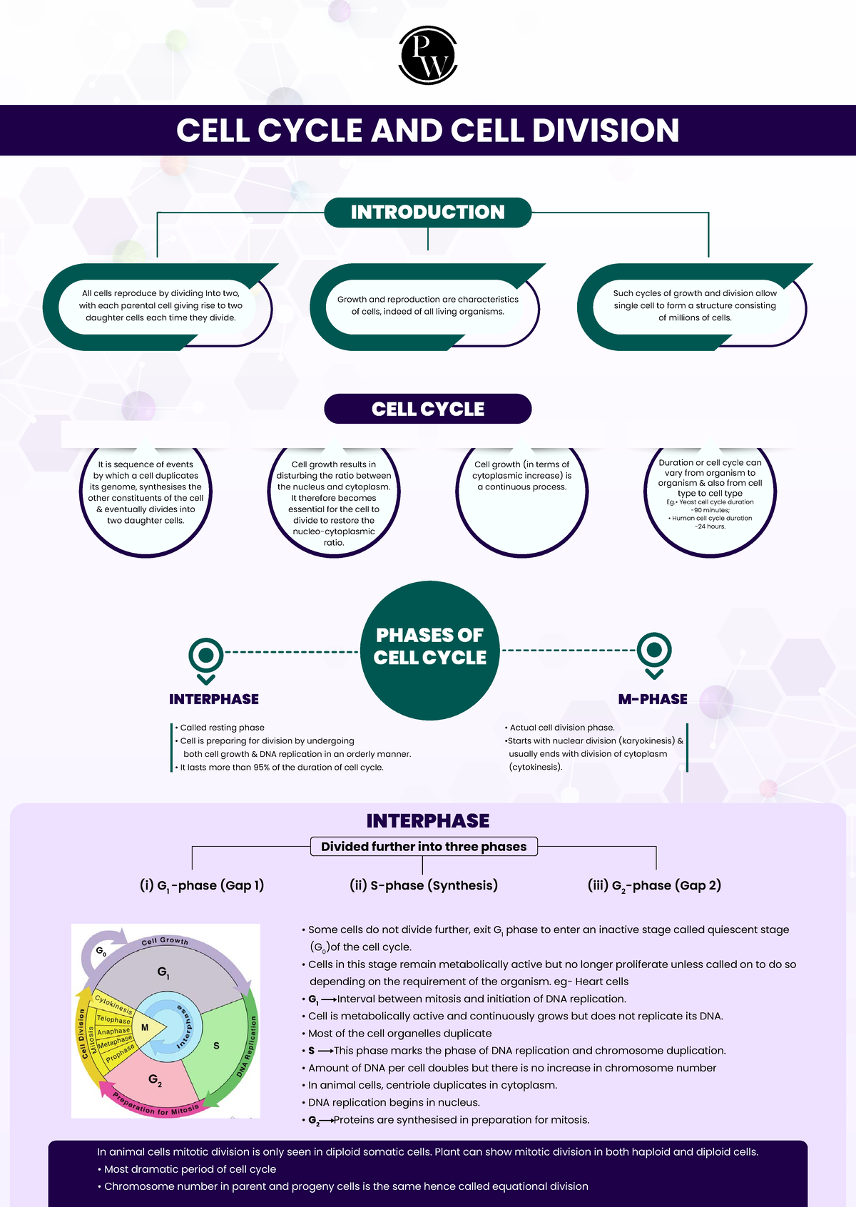 Cell Cycle and Cell Division mind maps - CELL CYCLE AND CELL DIVISION ...