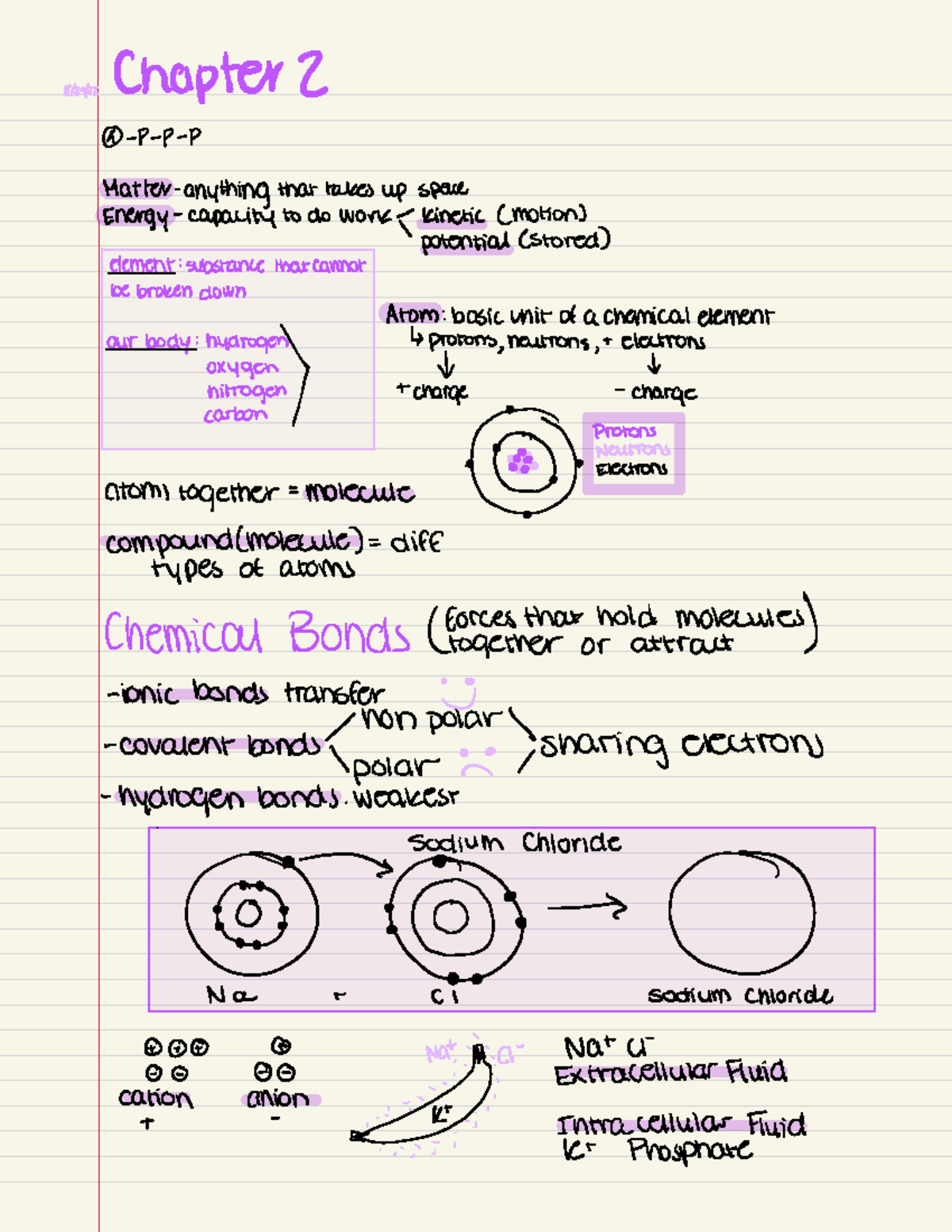 Chapter 2 - Notes about chemical bonds - 8/24/22 Chapter 2 - p- p - p ...