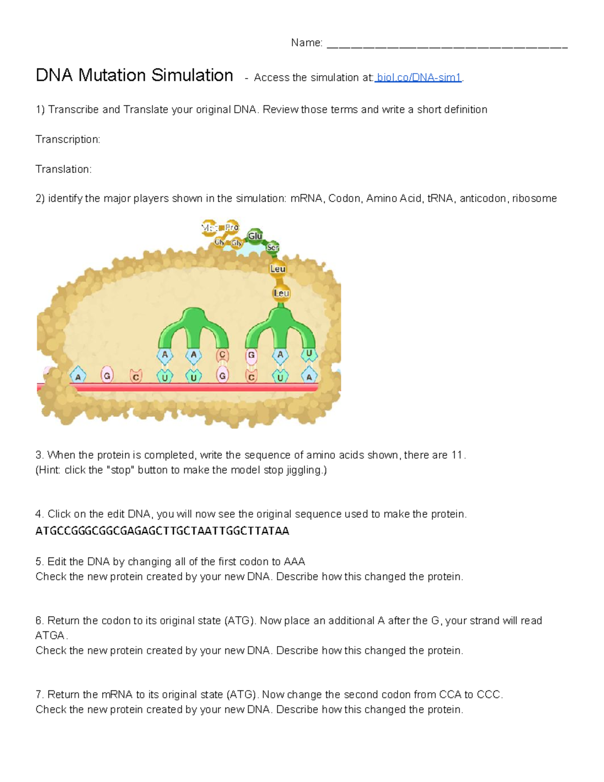 5.DNA Mutation Simulation Worksheet - Name ...