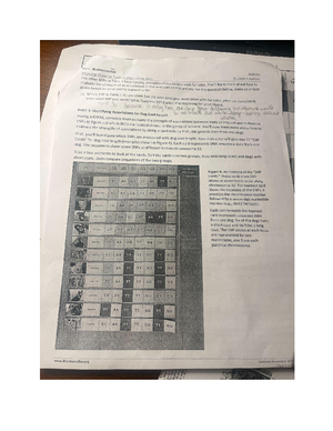 Genetics Study Guide 1 Key - T t T TT Tt t Tt tt Name ANSWER KEY ...