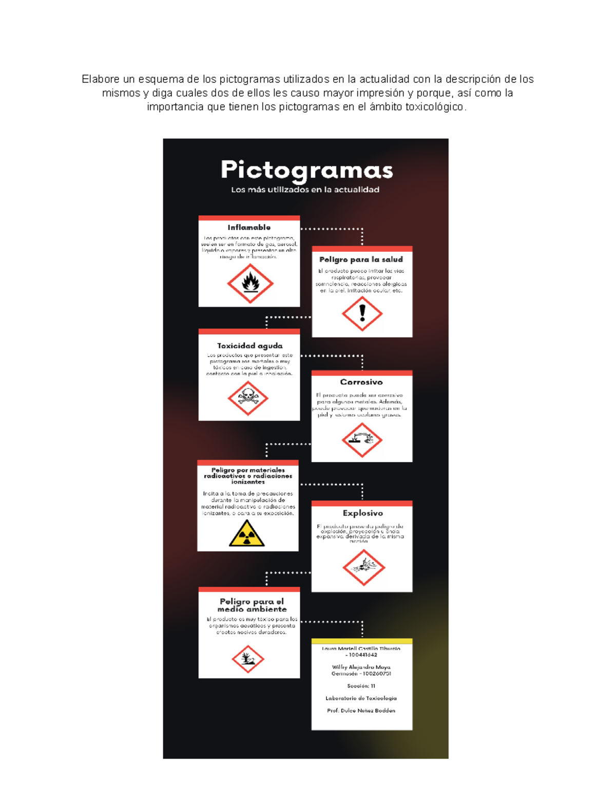 Practica de Pictogramaa - Elabore un esquema de los pictogramas ...