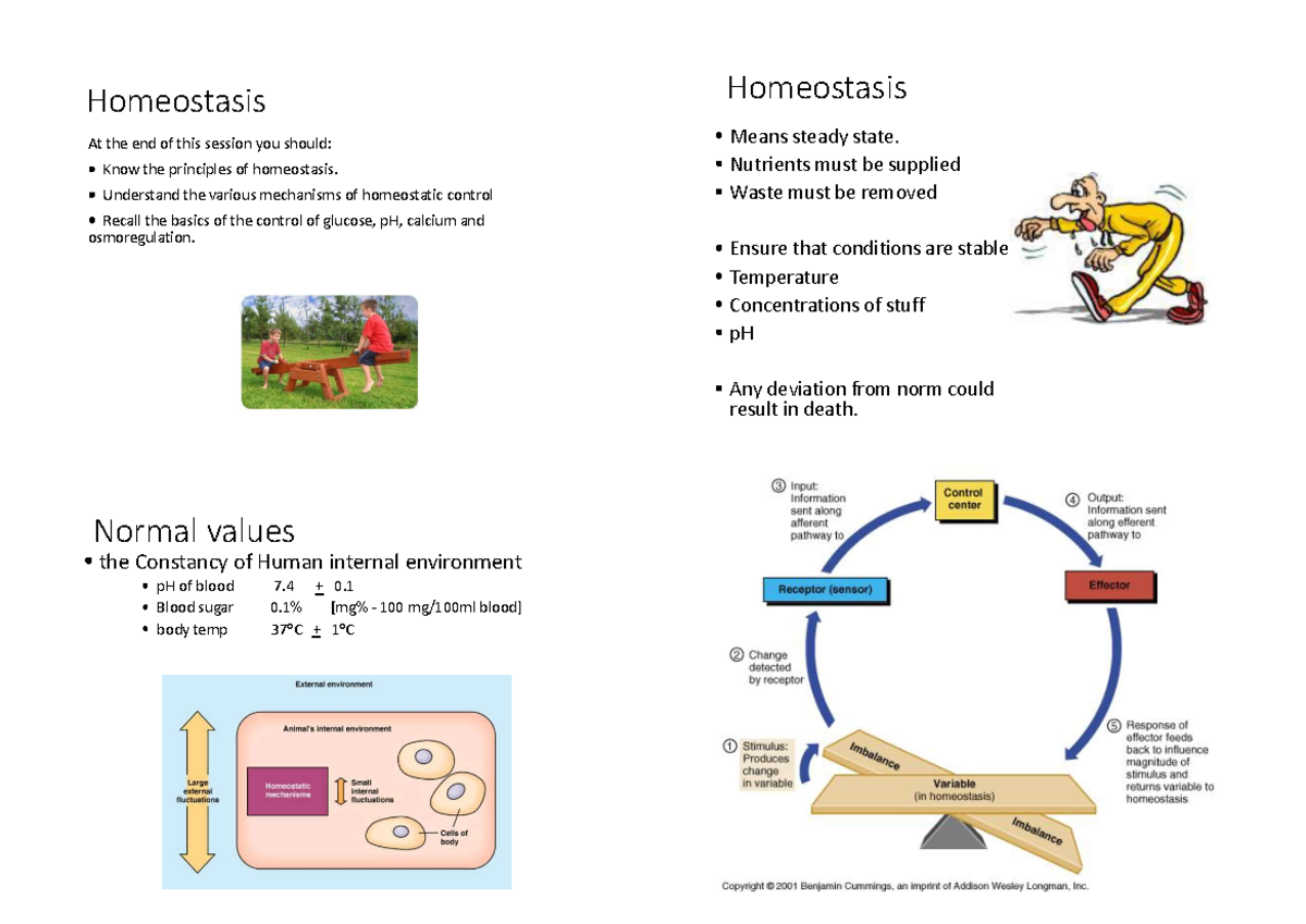 Hormones Lecture Notes - Homeostasis At the end of this session you ...