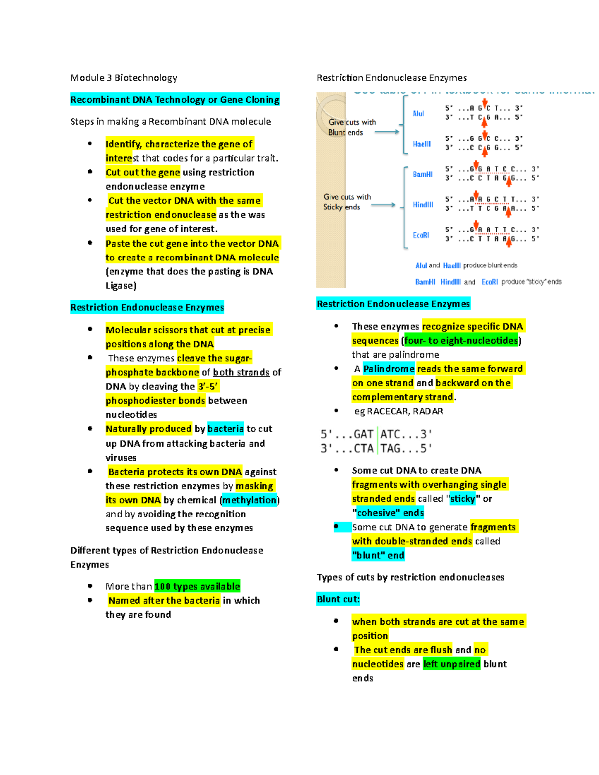 Module 3 Recombinant Dna - Module 3 Biotechnology Recombinant DNA ...