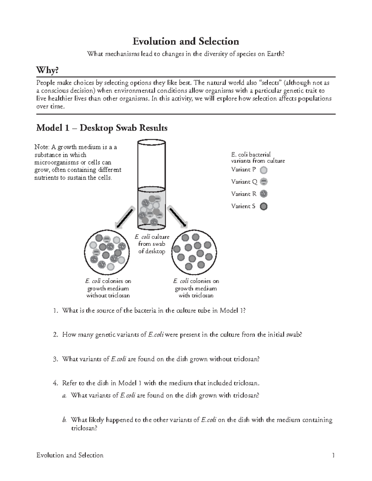 21 Evolution and Selection-S - The natural world also “selects ...