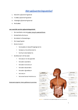 Drainage - gastro-entero - Drainage mogelijkheden Drainage ...