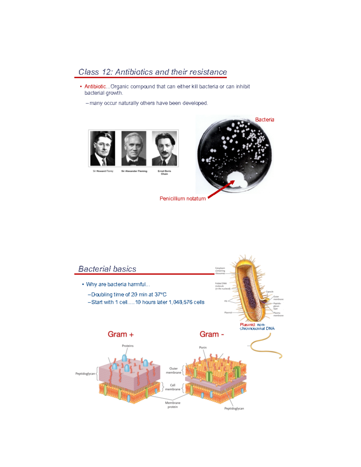 Class 12 notes - Lecture - Class 12: Antibiotics and their resistance ...