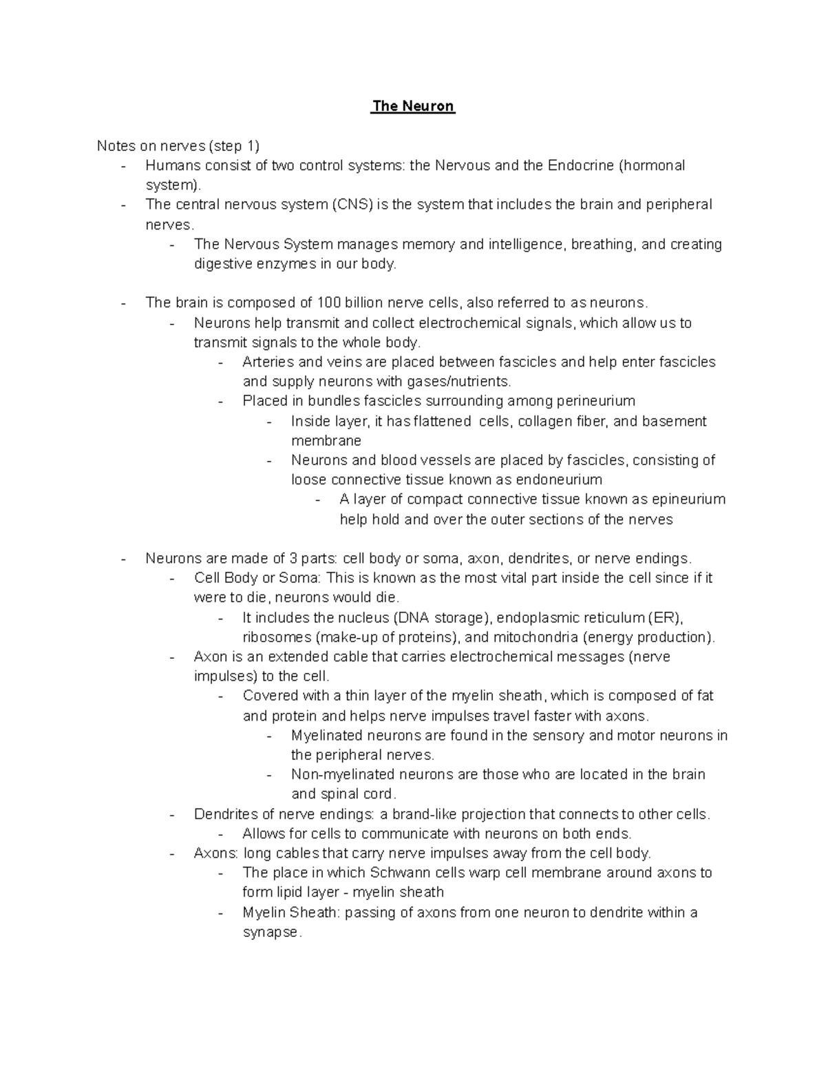 The Neuron - The Neuron Notes on nerves (step 1) - Humans consist of ...
