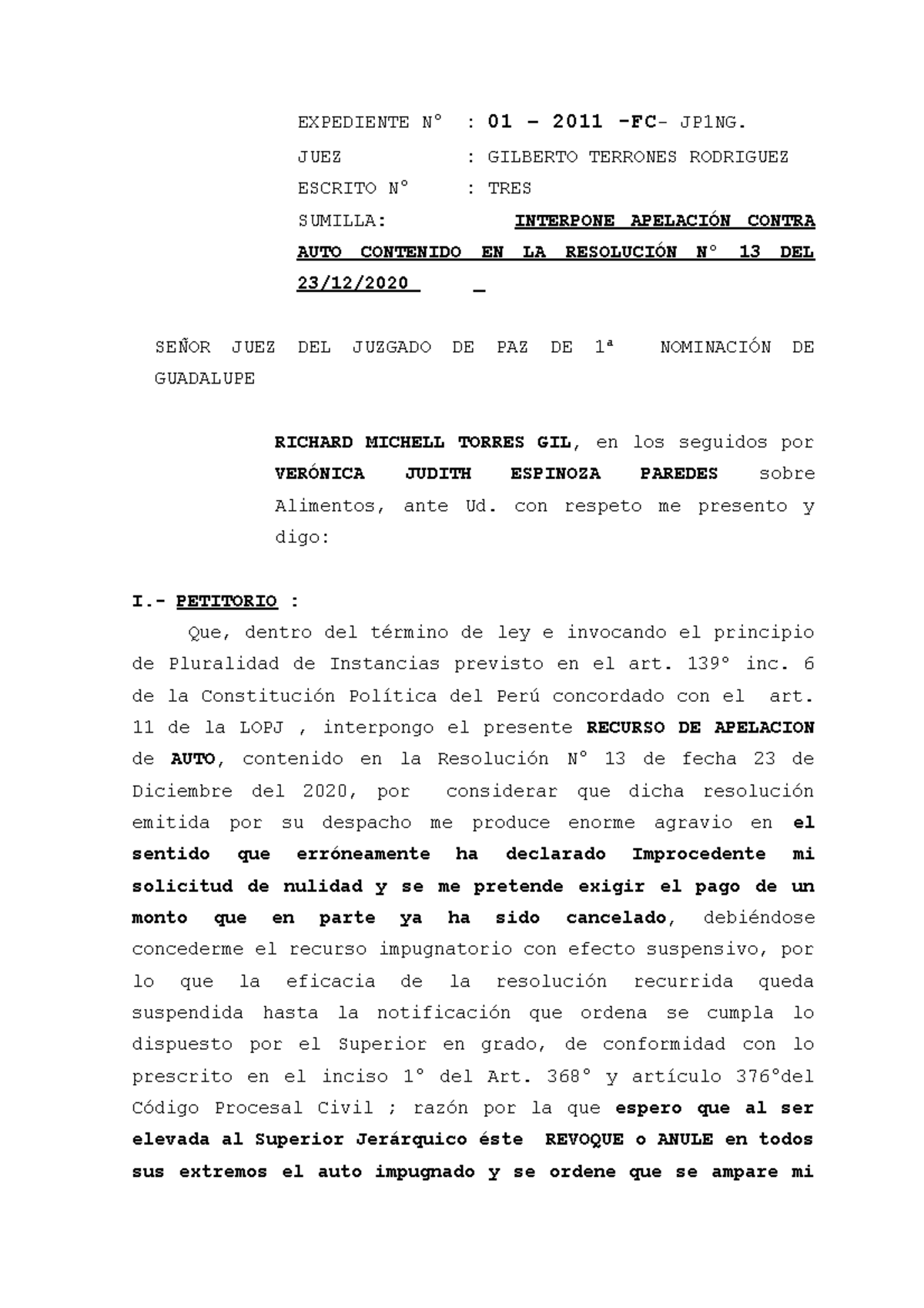 Apelación DE AUTO - EXPEDIENTE N° : 01 – 2011 -FC - JP1NG. JUEZ ...