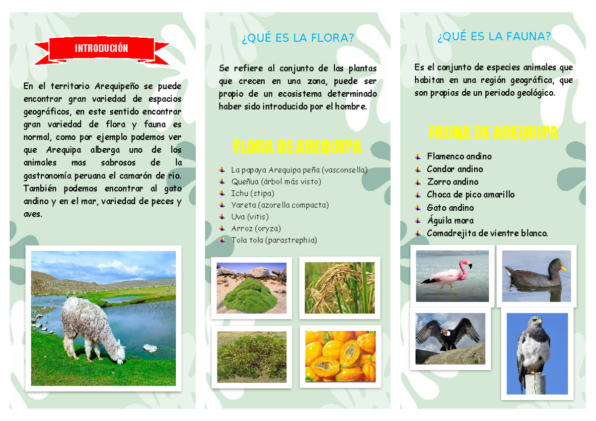 Triptico flora y fauna - ayuda conoce la ciencia, de los animales y ...